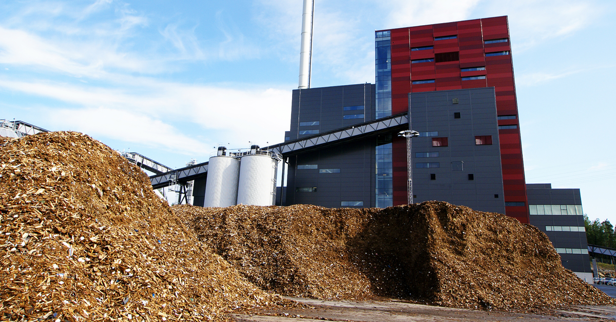 Scaling Up Biomass: The Future of Biomass Is Being Developed Today ...