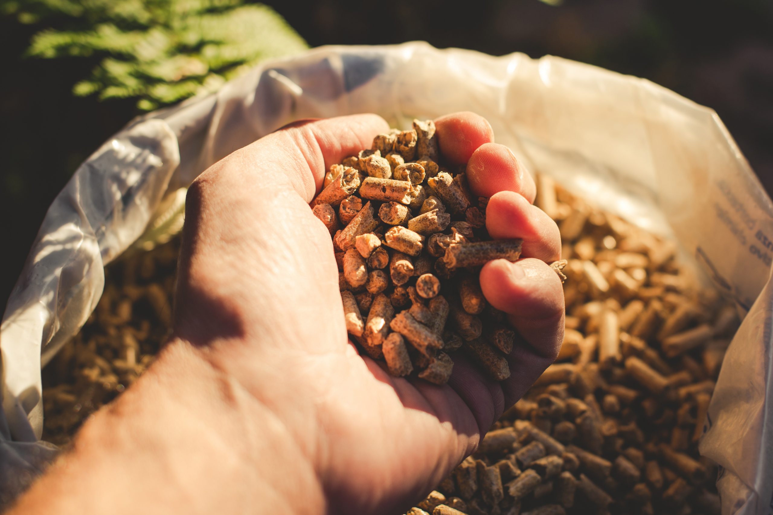 Biomass Plays Key Role In EU s Biodiversity Strategy ProcessBarron