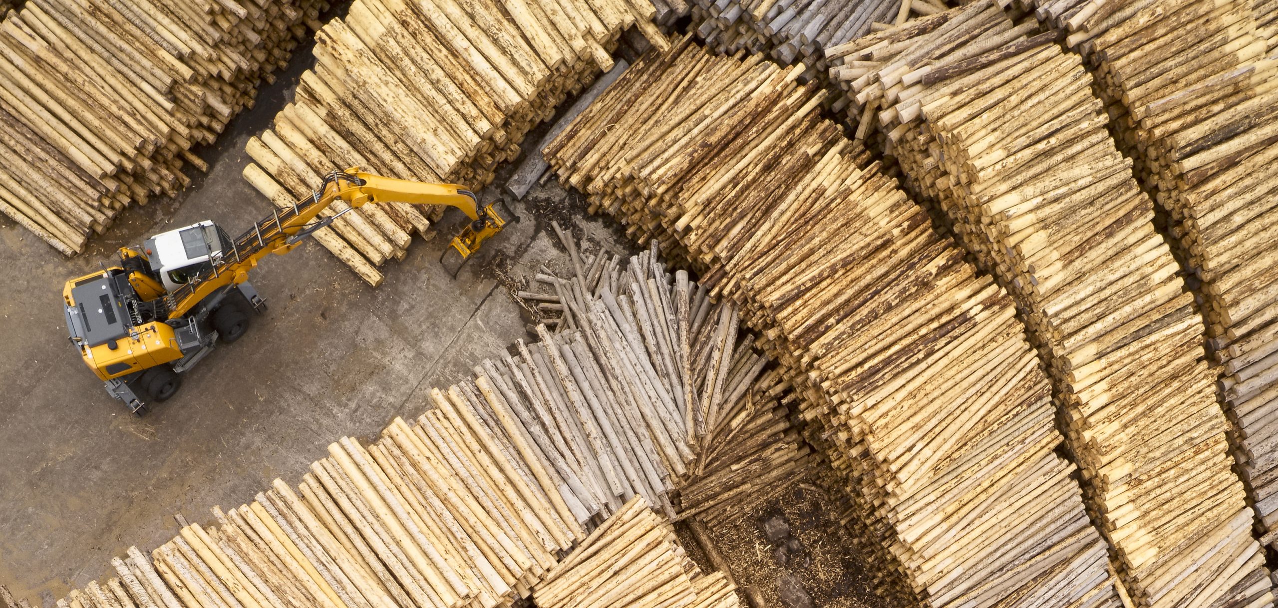 From Waste Wood to Biomass | A Joint Canadian Fueling Effort
