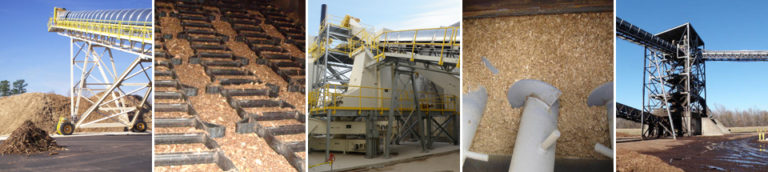 biomass | ProcessBarron